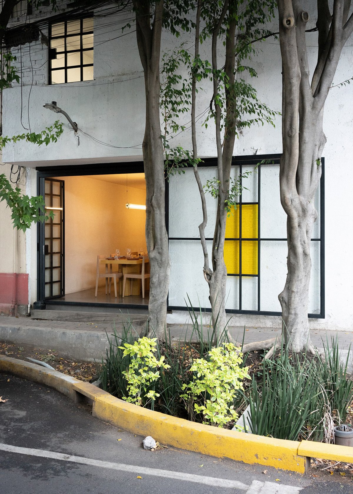 YINJISPACE - Naso x Mari Gold